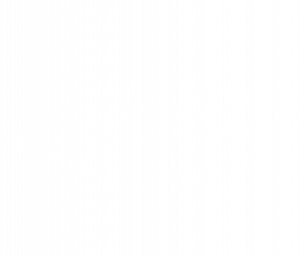 GenieMat RST — Pliteq AP