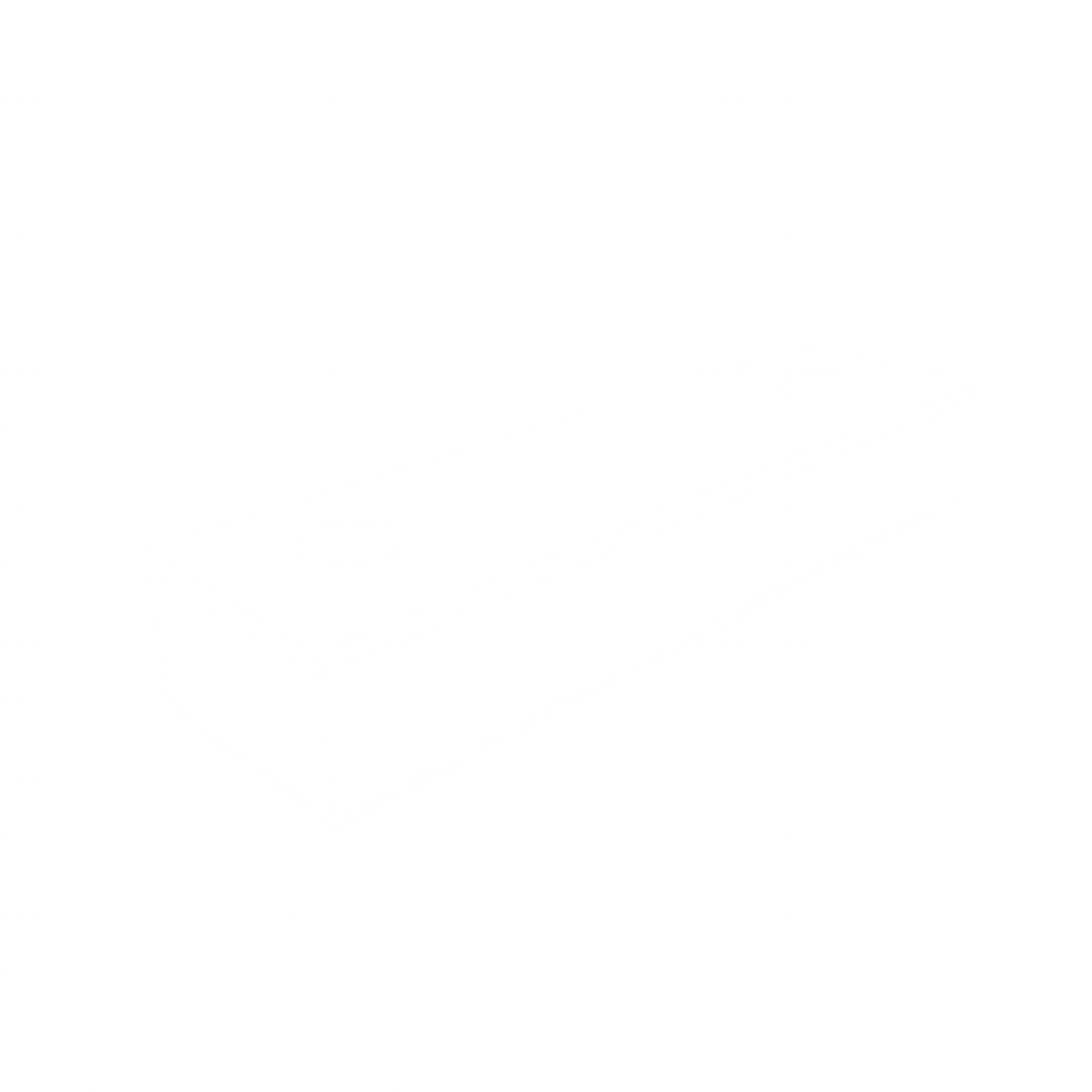 GenieMat WSI — Pliteq AP